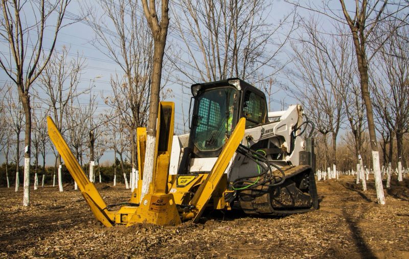 News - From now on digging trees is no longer difficult, 2 minutes to ...